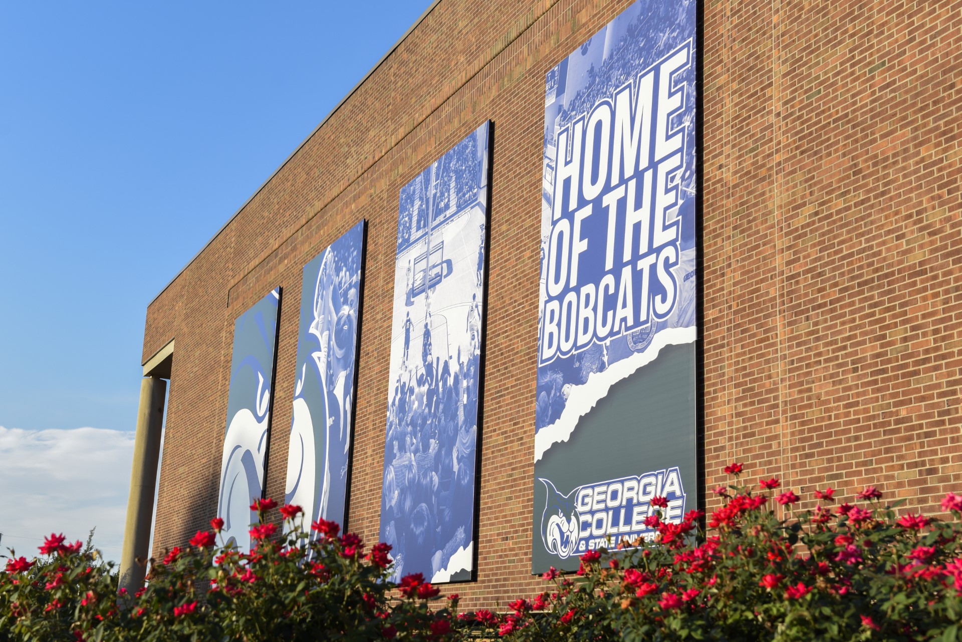 Athletics - Georgia College & State University